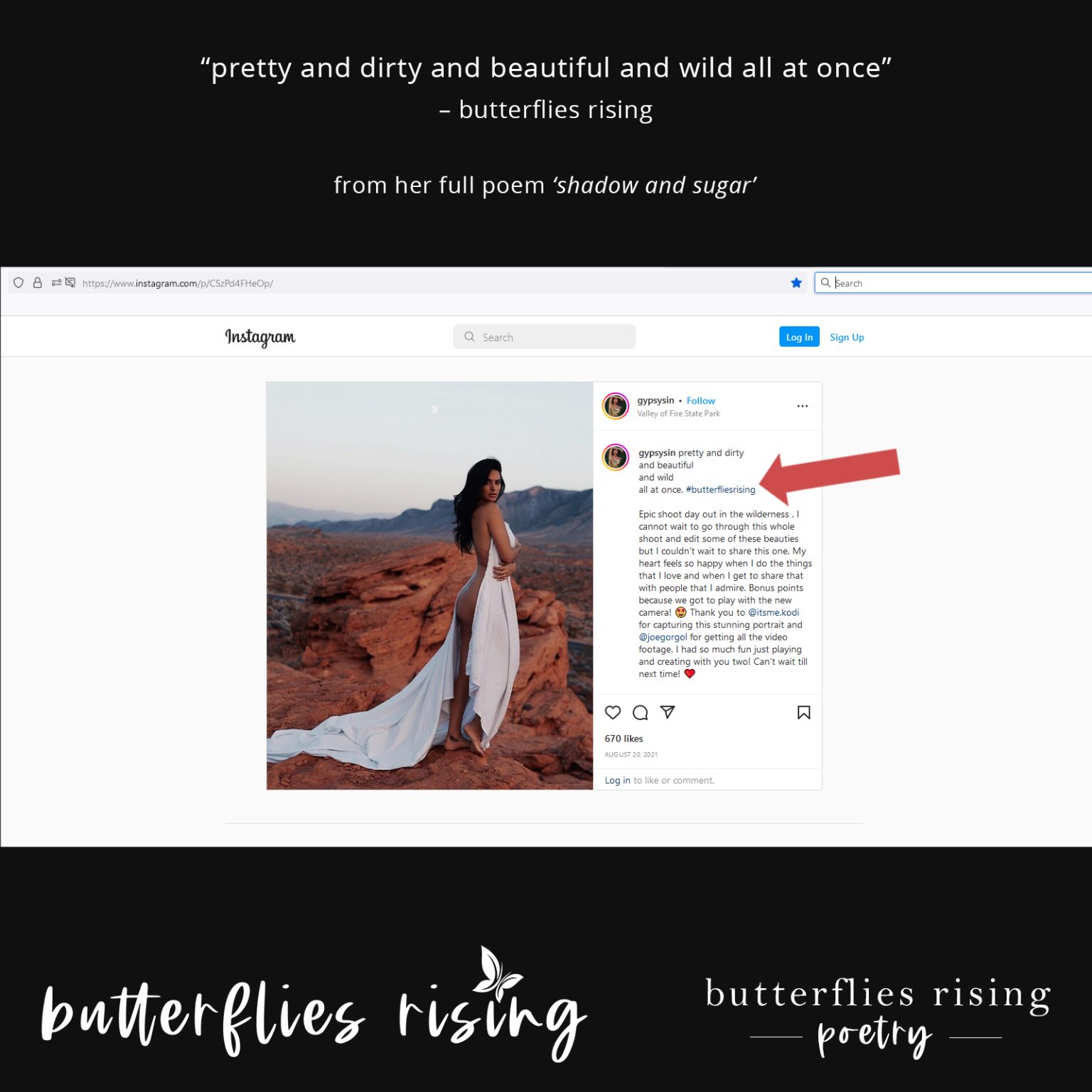 pretty and dirty and beautiful and wild all at once © - butterflies rising