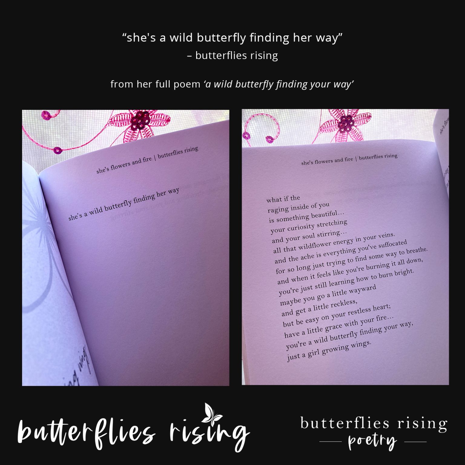 she's a wild butterfly finding her way - butterflies rising quote