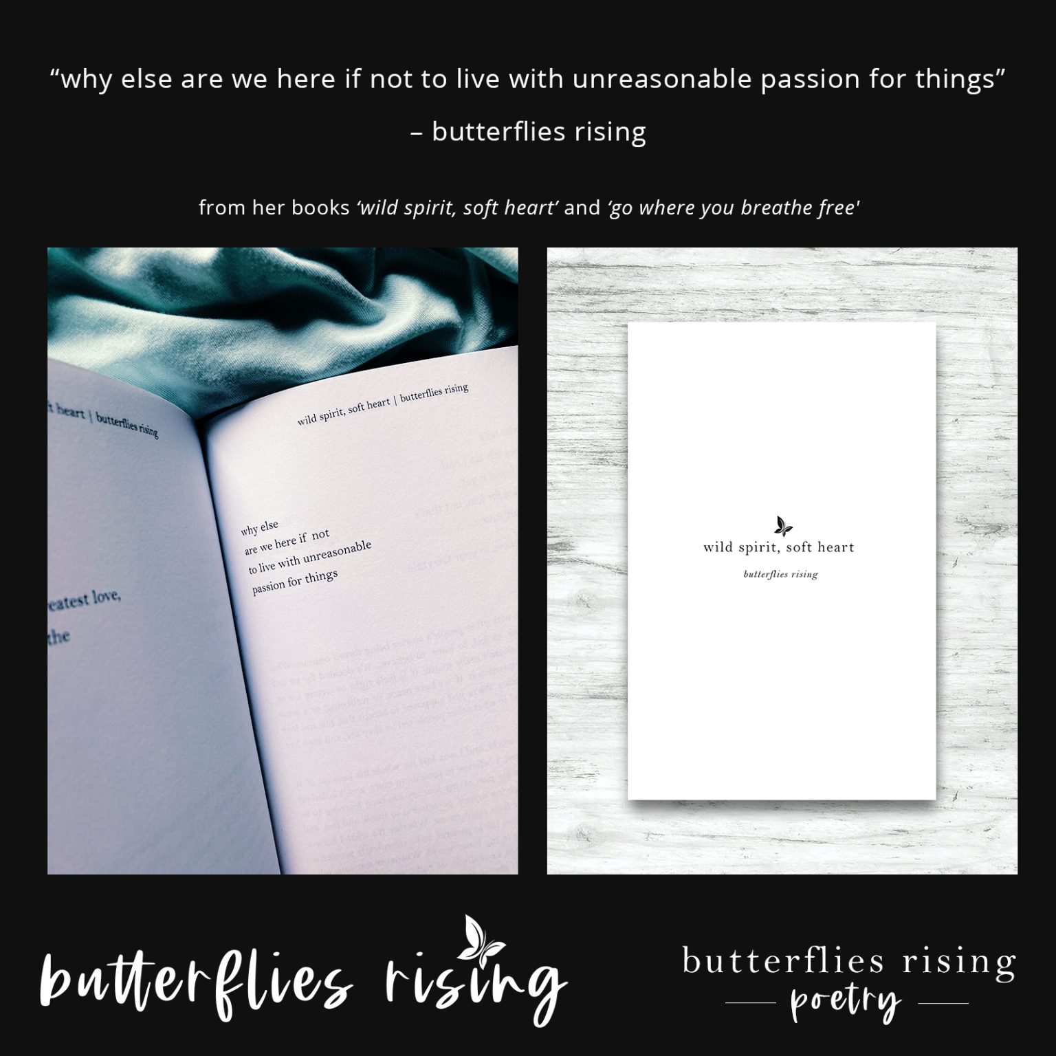 why else are we here if not to live with unreasonable passion for ...