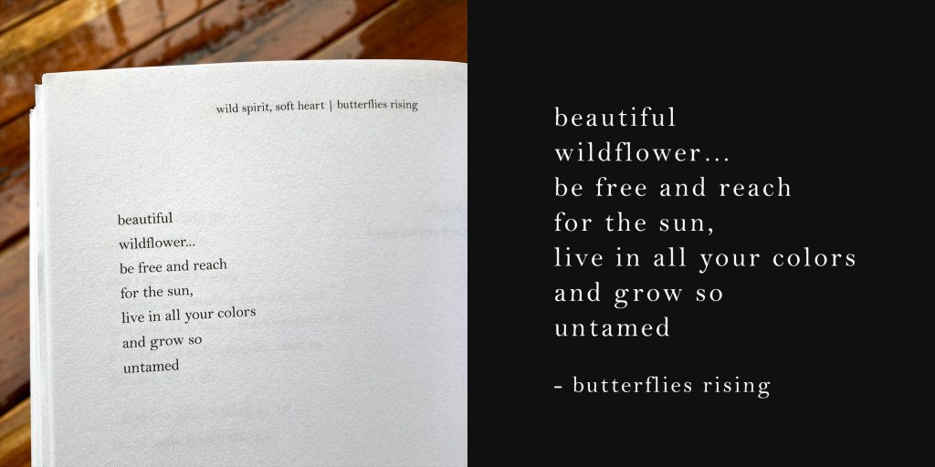 beautiful wildflower... be free and reach for the sun, live in all your