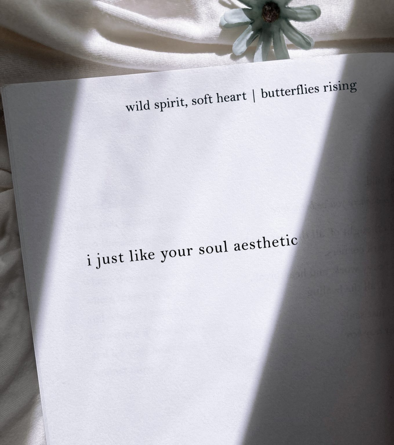i just like your soul aesthetic - butterflies rising quote