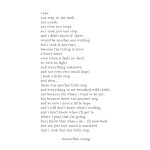 i saw one step. in the dark. not a path. not even two steps. so i took ...