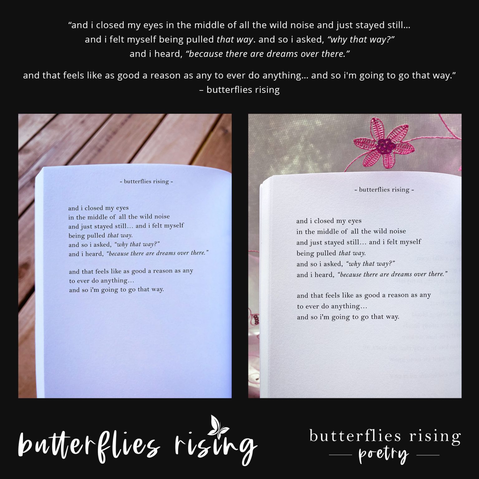 and i closed my eyes in the middle of all the wild noise - butterflies ...