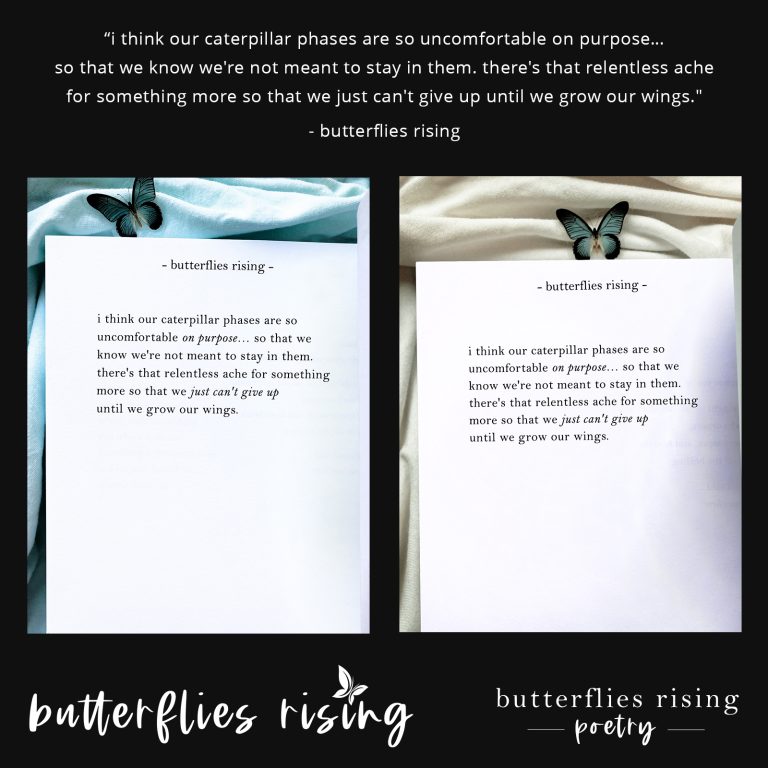 i think our caterpillar phases are so uncomfortable - butterflies rising