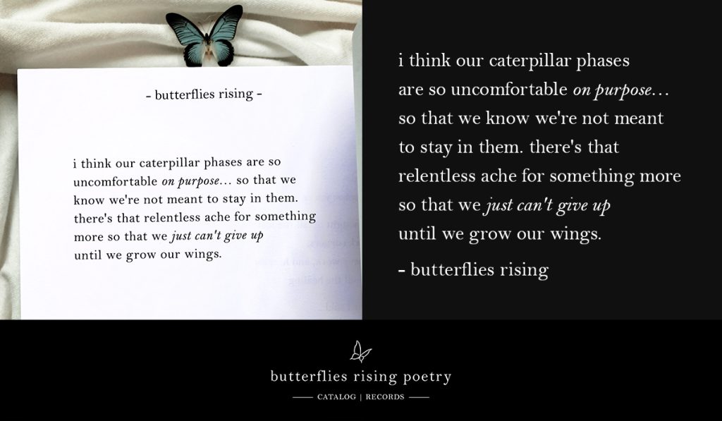 i think our caterpillar phases are so uncomfortable - butterflies rising