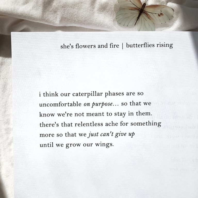 i think our caterpillar phases are so uncomfortable - butterflies rising
